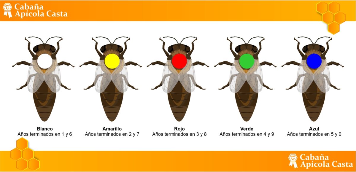 Inicio - Cabaña Apícola Casta